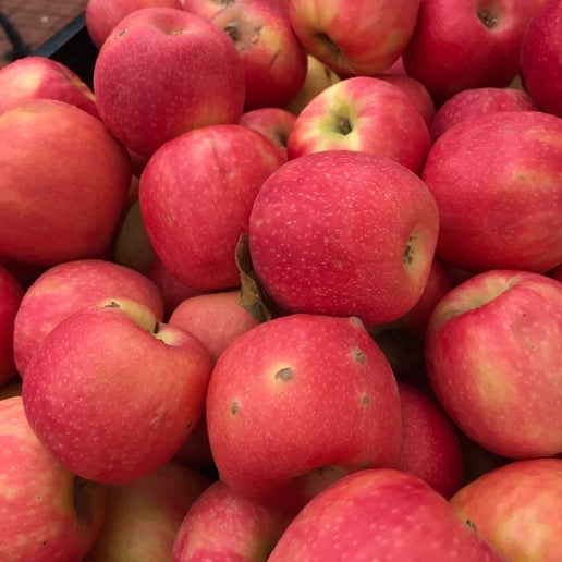 Apples - Pink Lady | Ellis Family Farms